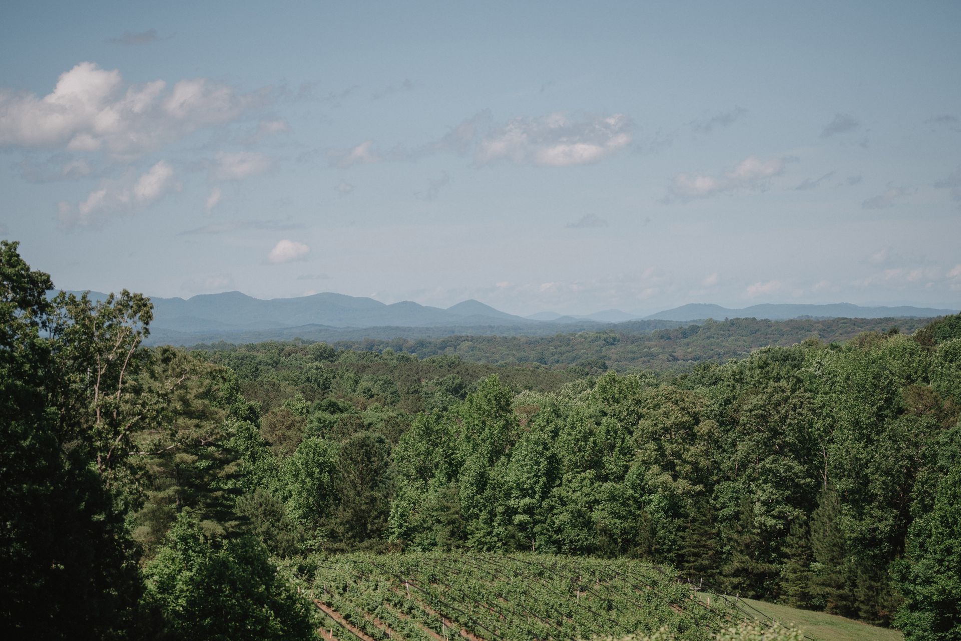 Event Venue | The Venue In The Vines | Georgia