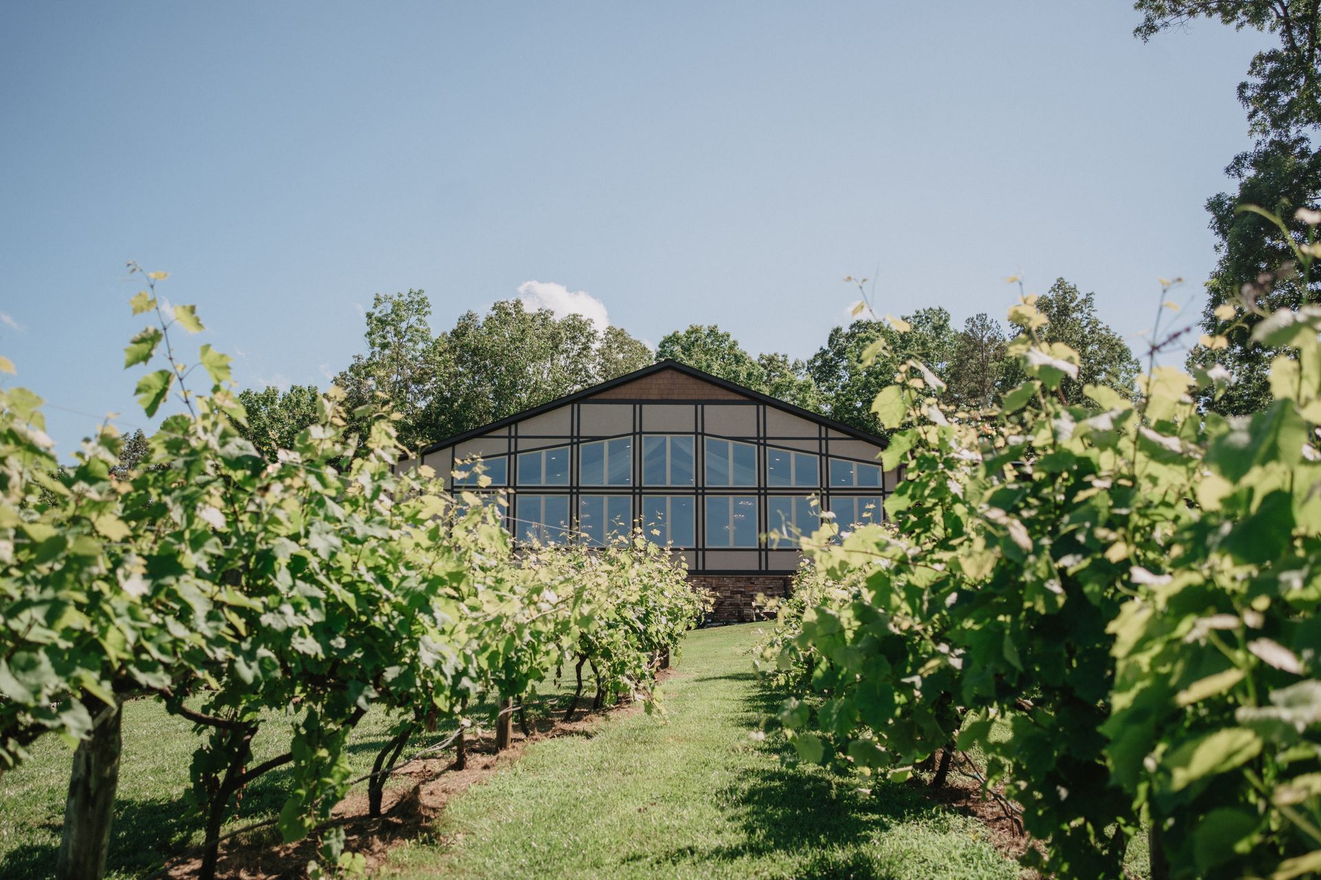 Event Venue | The Venue In The Vines | Georgia