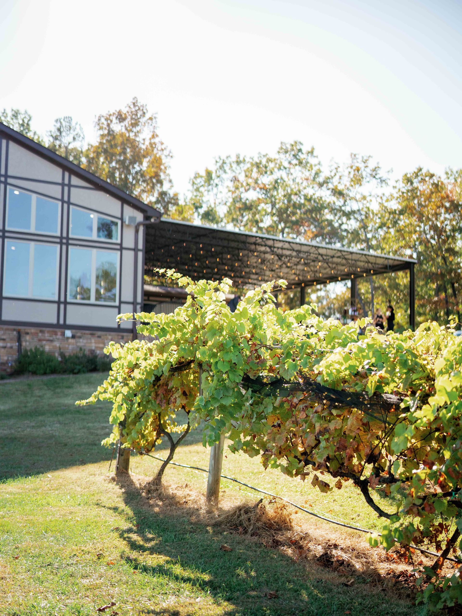 Event Venue | The Venue In The Vines | Georgia