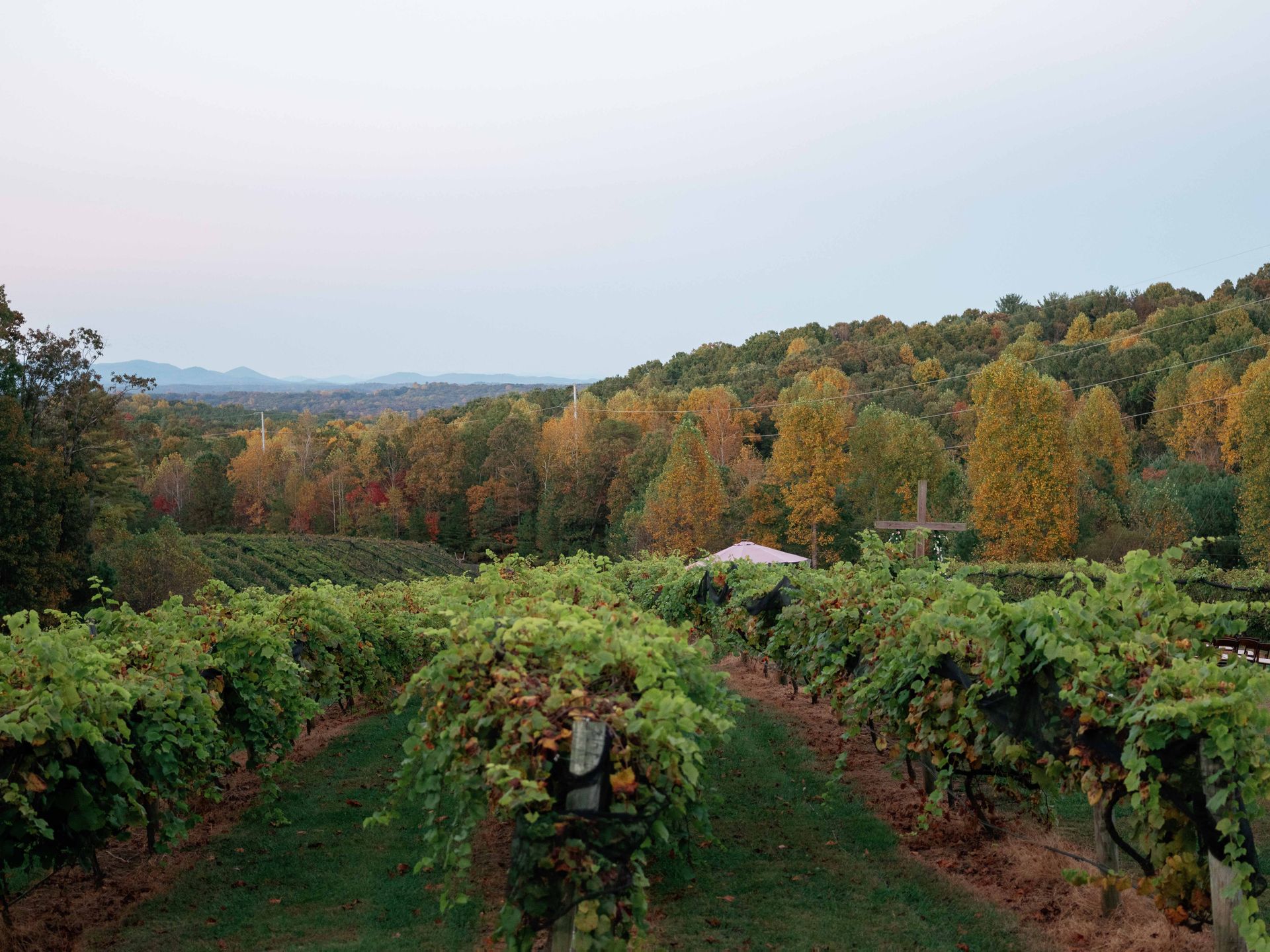 Stunning Gallery | The Venue In The Vines | Georgia