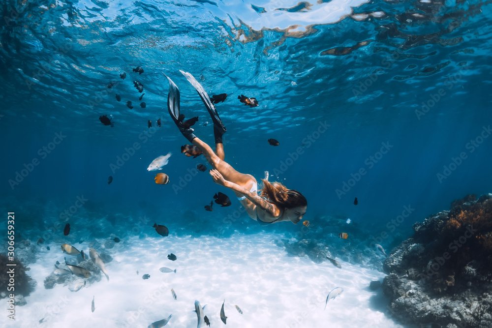Scuba Diving Courses | Dive Near Me Wollongong