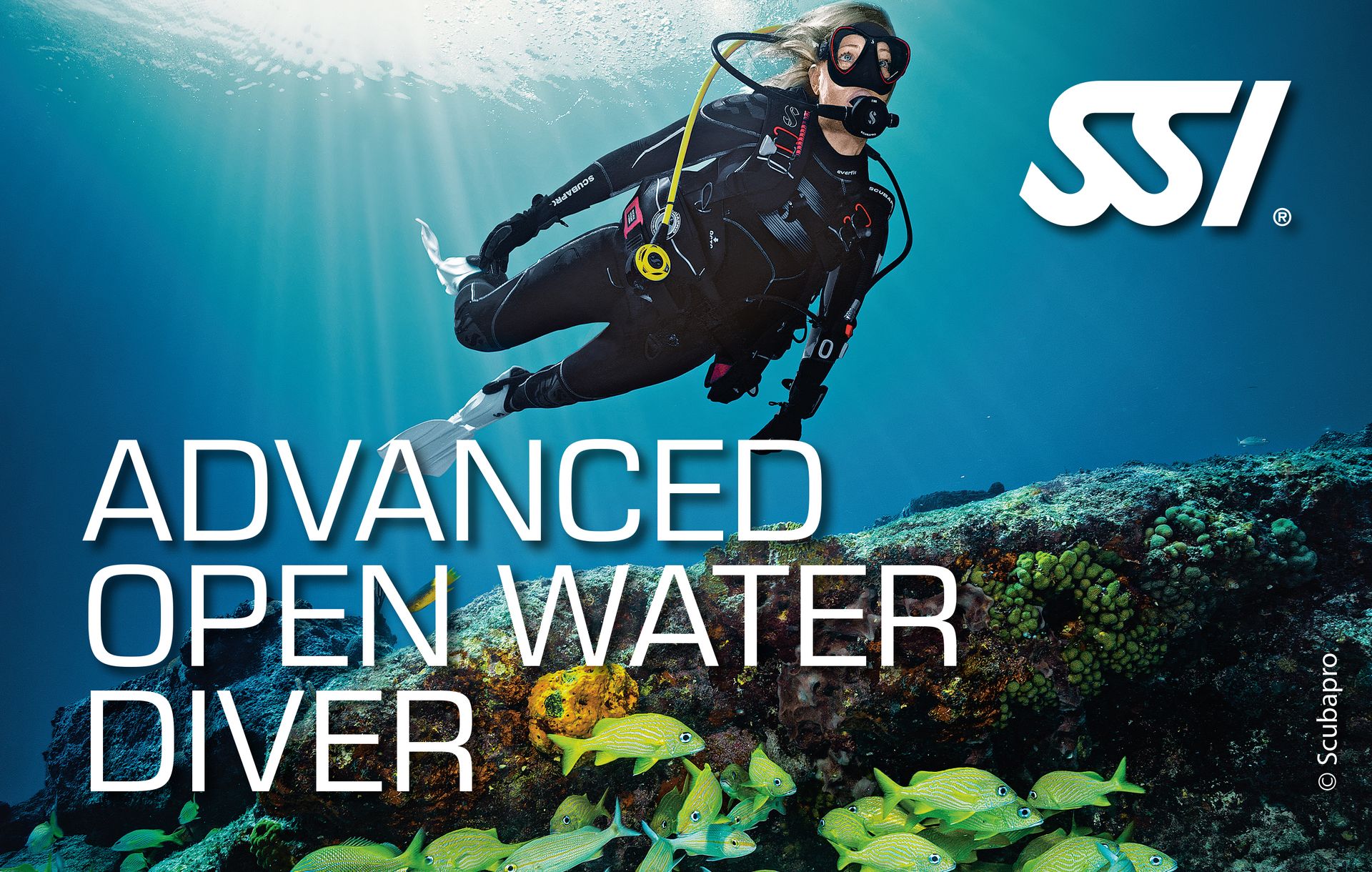 Scuba Diving Courses | Dive Near Me Wollongong