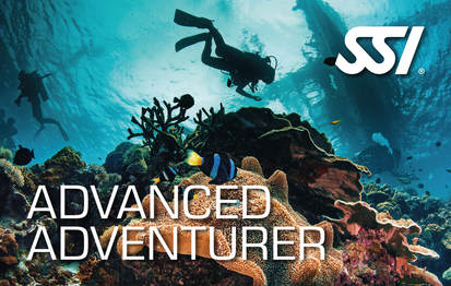 Scuba Diving Courses | Dive Near Me Wollongong