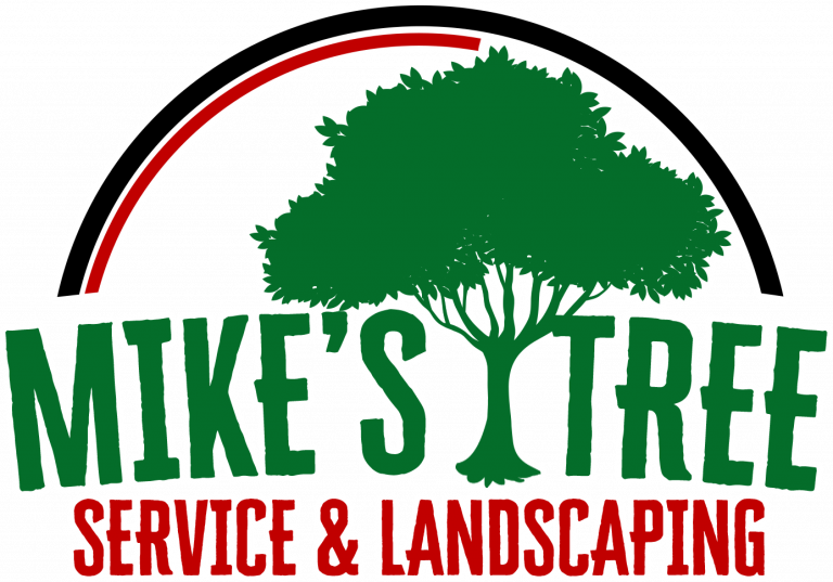 Tree Company | Mike's Tree Service & Landscaping