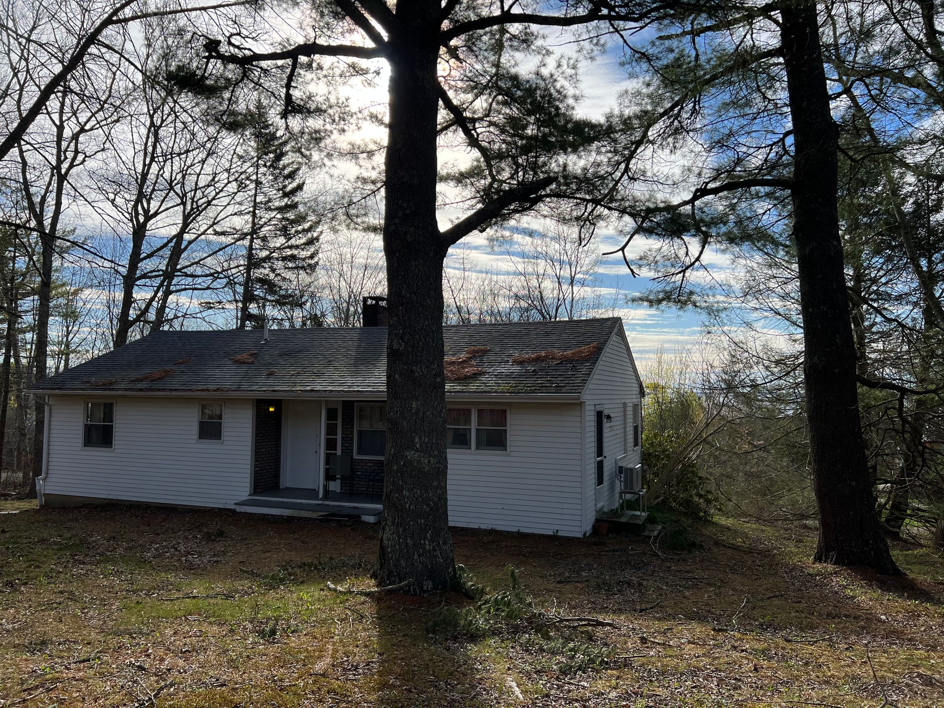 Gallery for The High Tide Inn