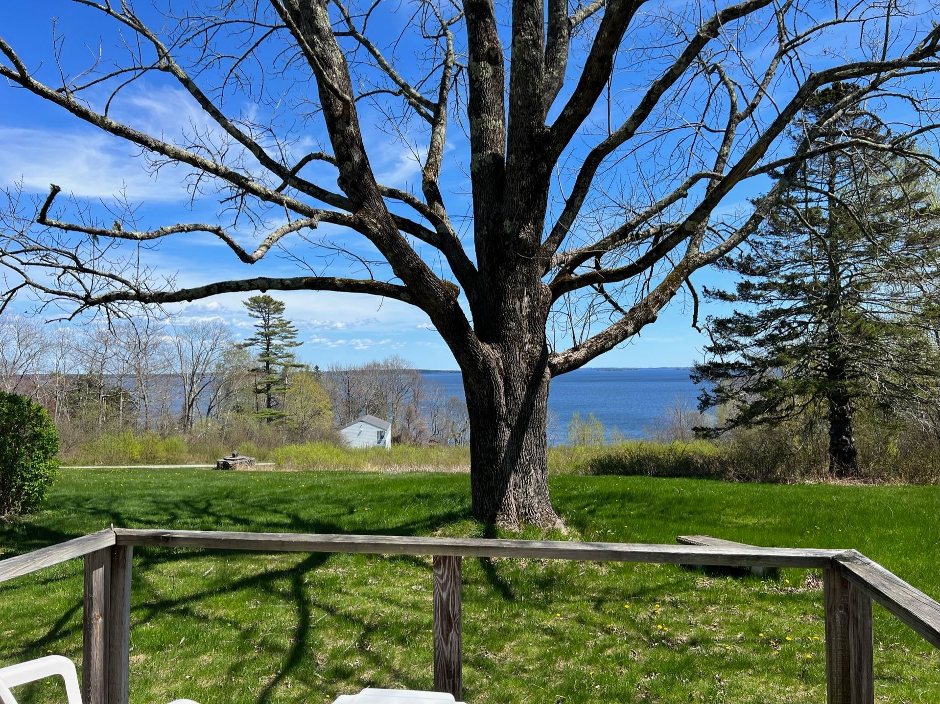 Gallery for The High Tide Inn