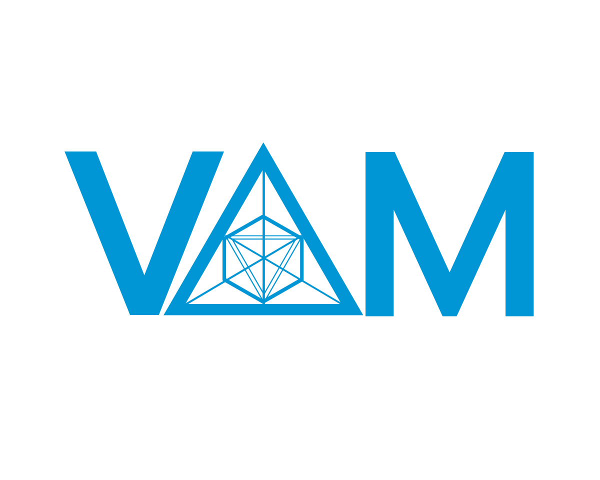 The VAM Group: Data Driven Growth Marketing.