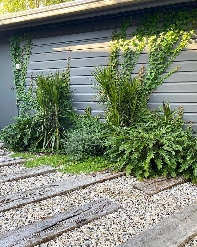 Gardener in Ballina | The Garden Folk