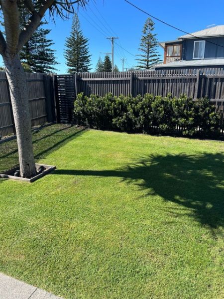 Lawn Installation in Lennox Head | The Garden Folk