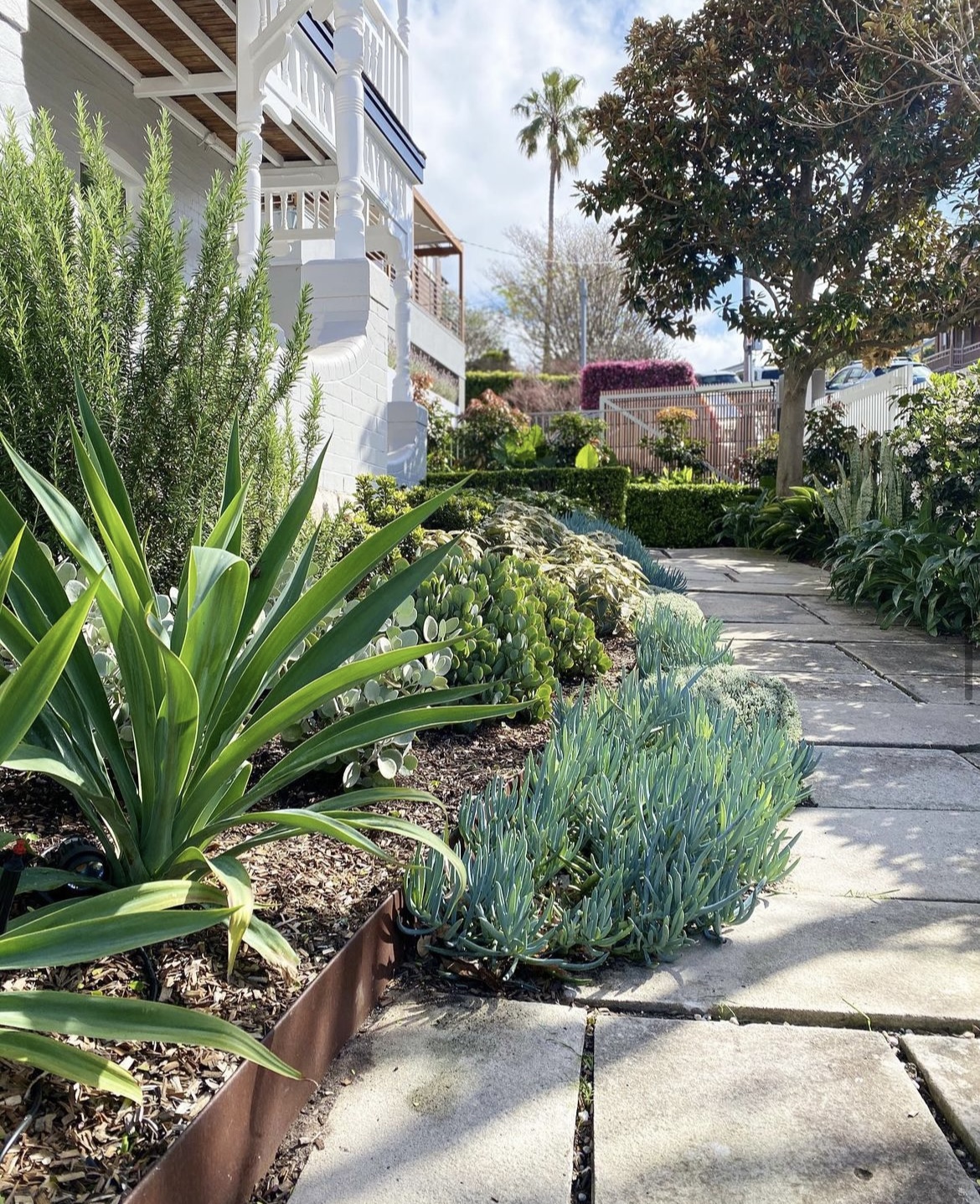 Gardener in Ballina | The Garden Folk