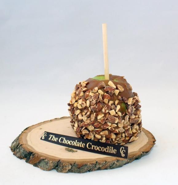 Photo Gallery | The Chocolate Crocodile