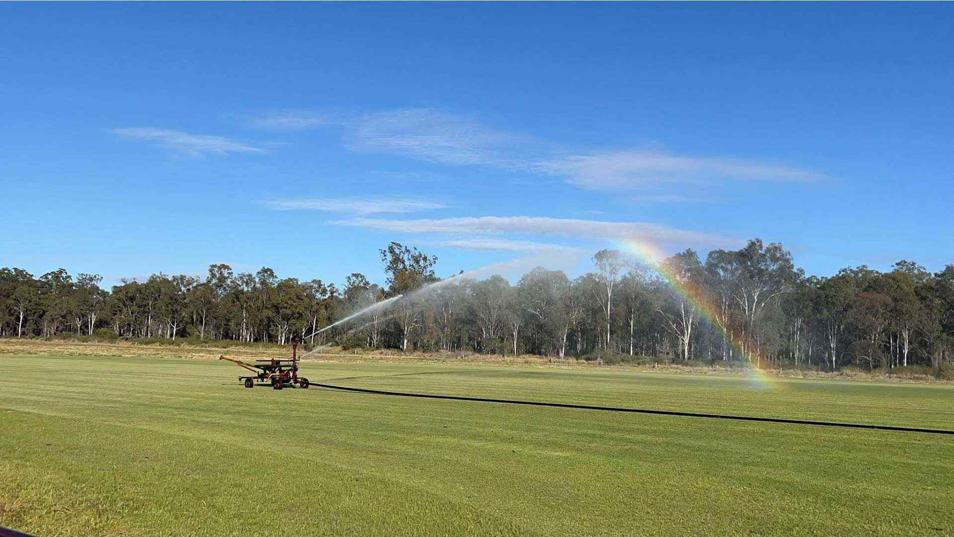 Lawn Care in Gatton | Joe's Turf