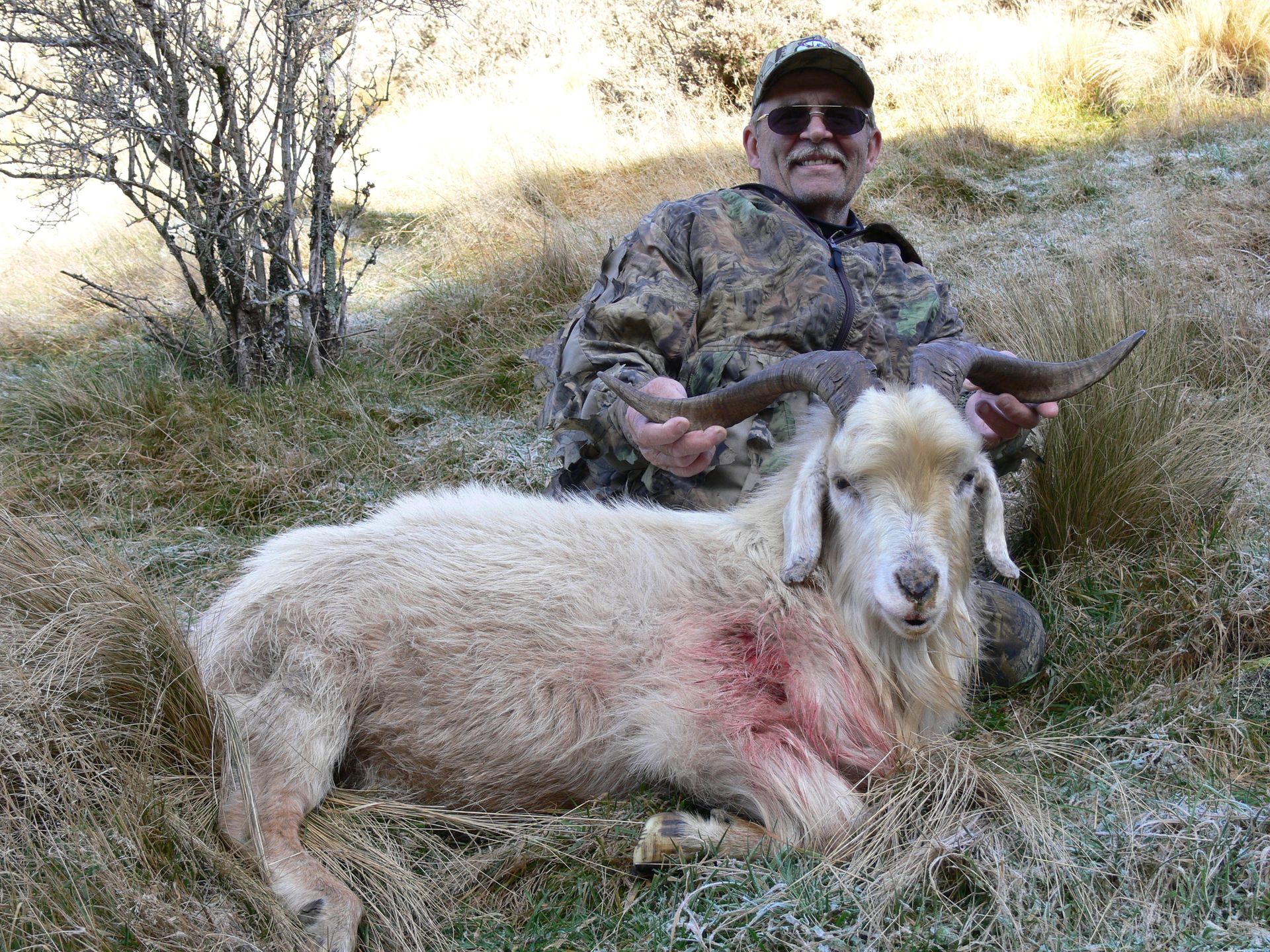 Feral Goat Hunting | Lochinvar Safaris