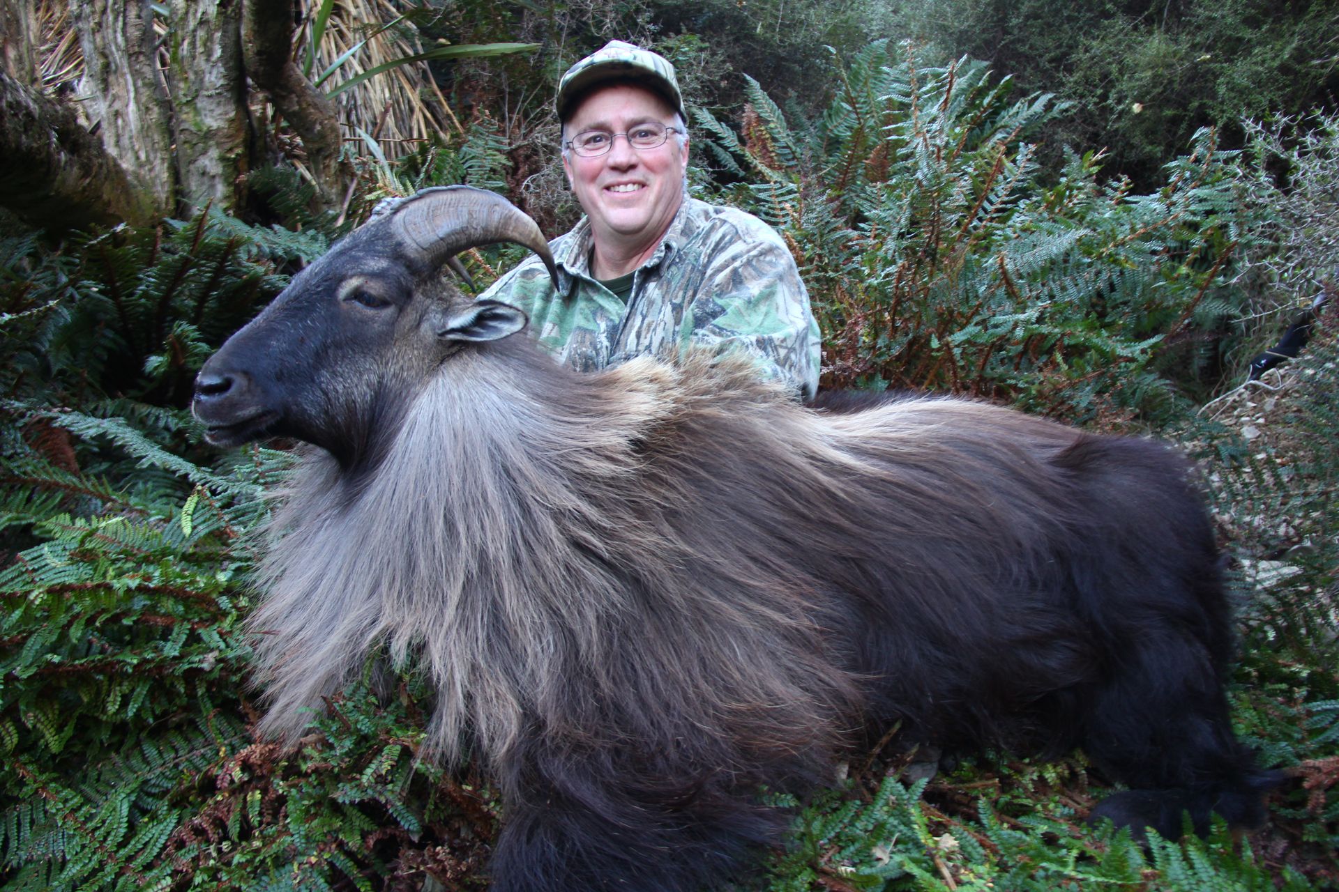 Himalayan Tahr Hunting | Lochinvar Safaris