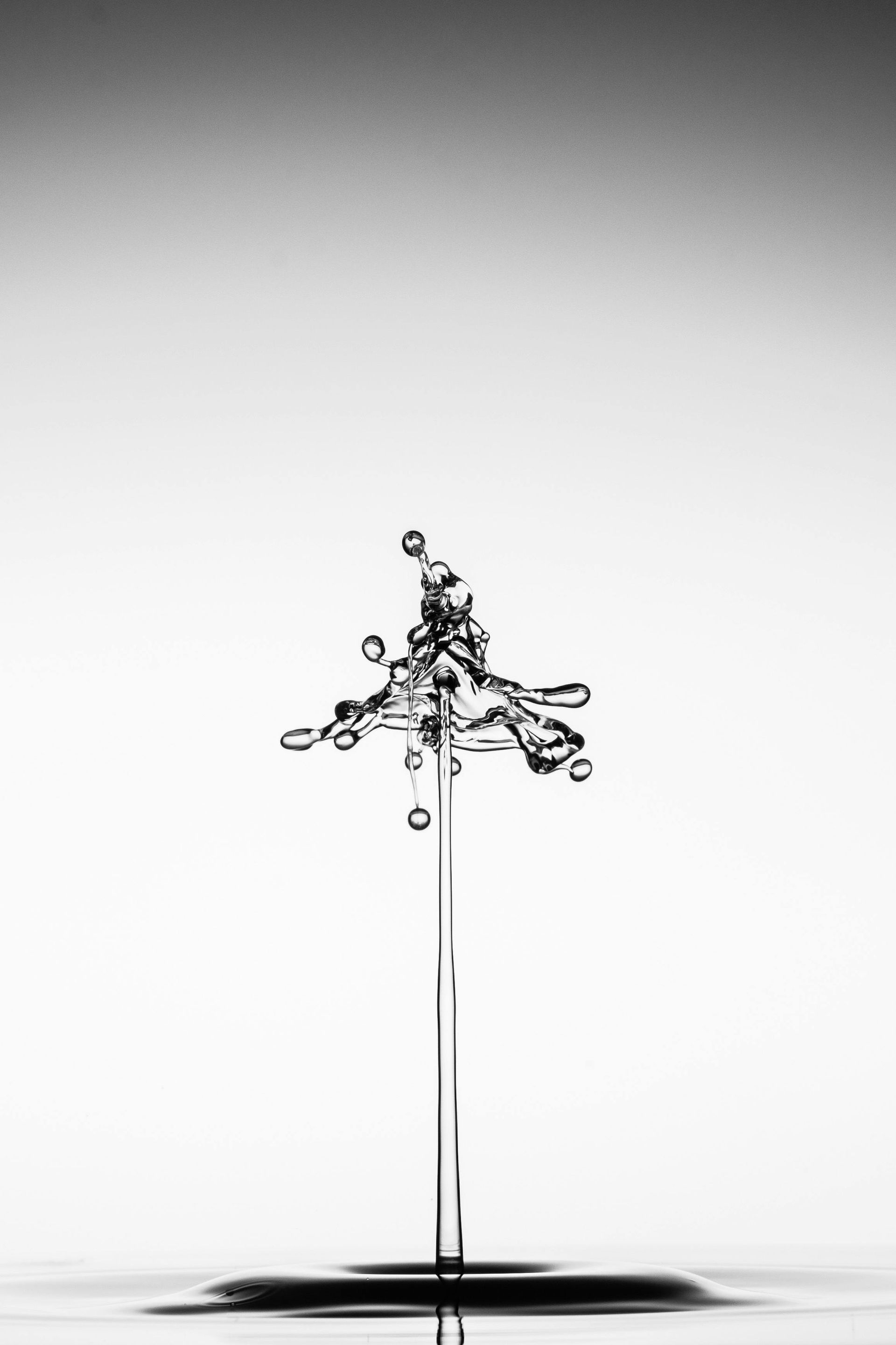 Intradialytic Parenteral Nutrition Solutions | Pharmko