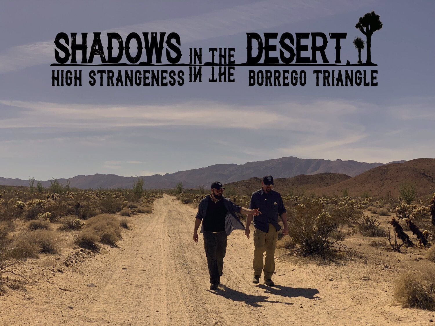 Shadows in the Desert: High Strangeness in the Borrego Triangle
