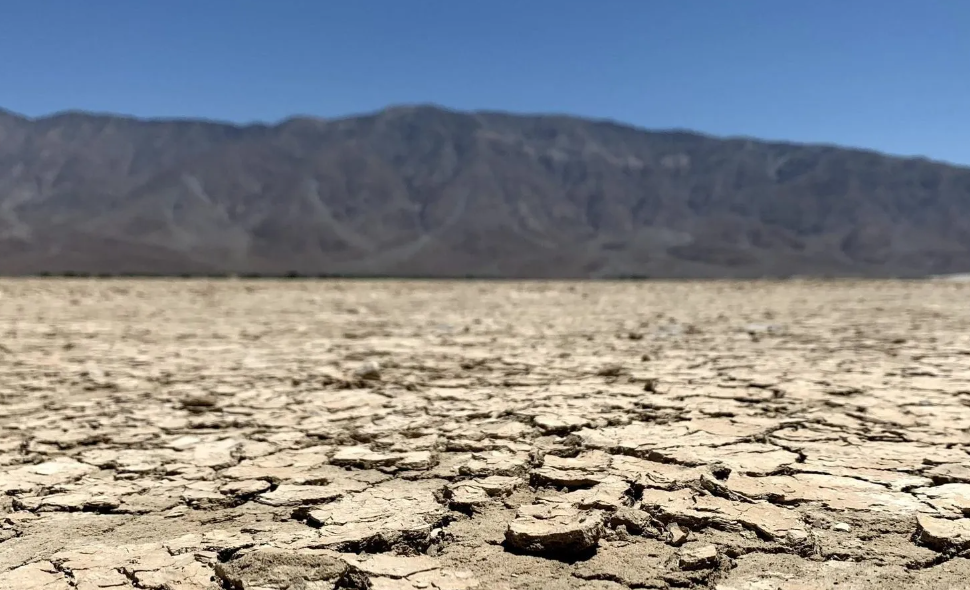 Clark Dry Lake Bed: Anza Borrego State Park