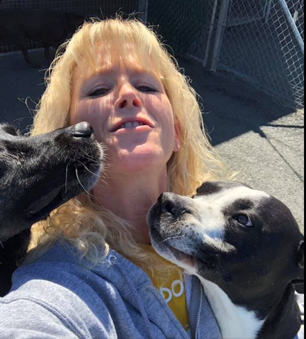 About Us | Delta Dog Camp