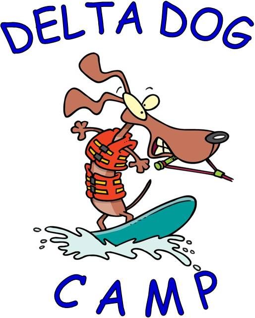 Delta Dog Camp | Antioch, CA