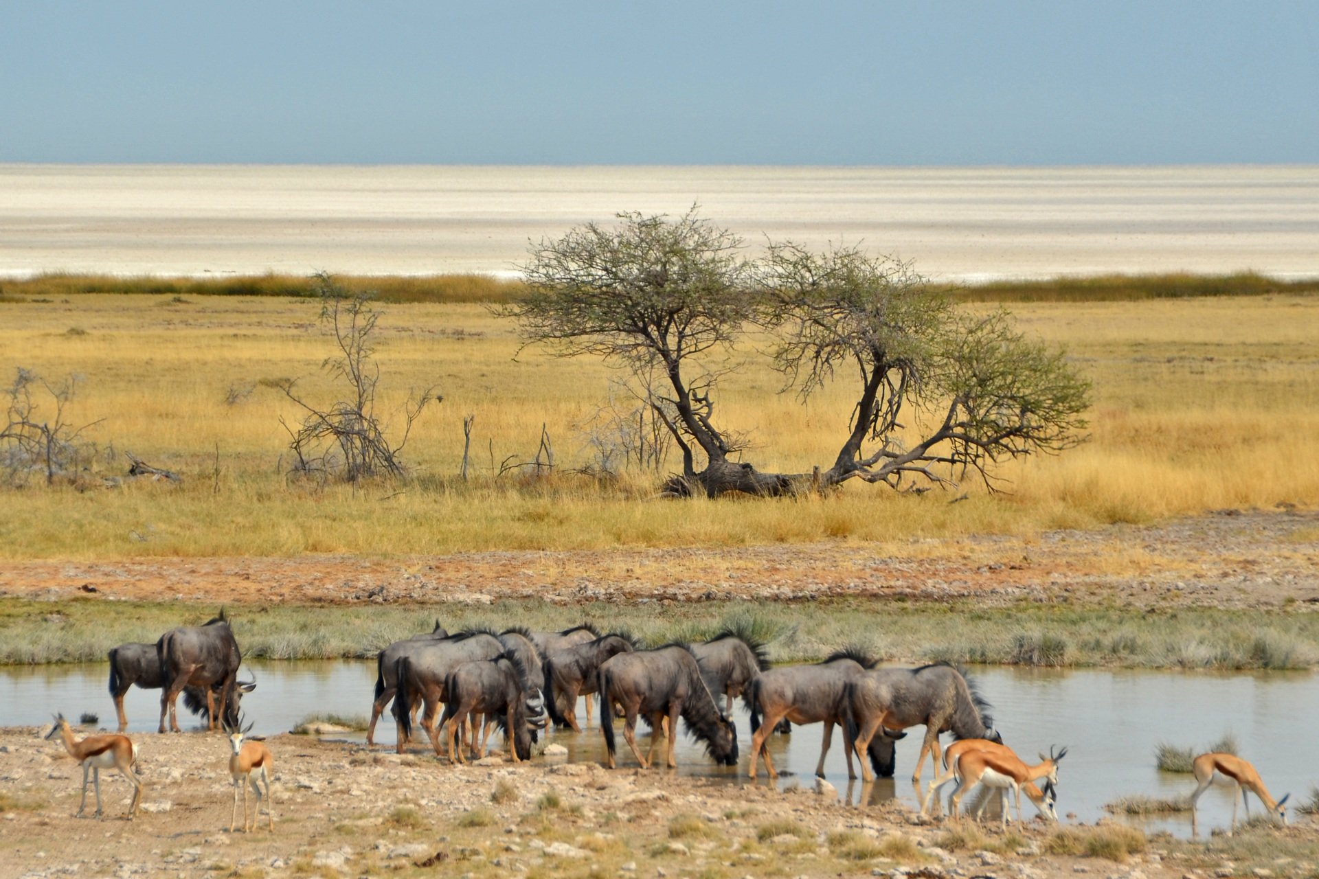 NAMIBIA