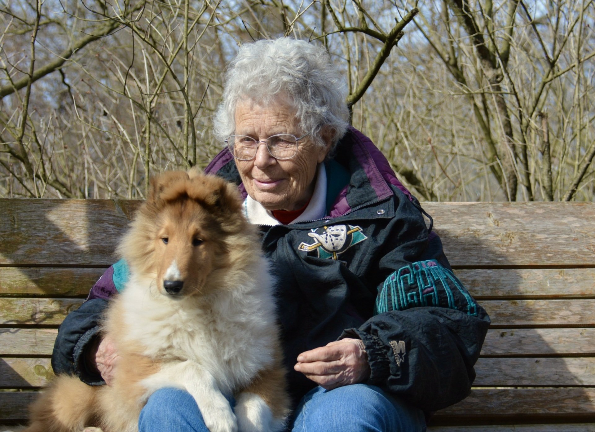 Rough Collie Puppies | Millville, NJ | 856-825-4856