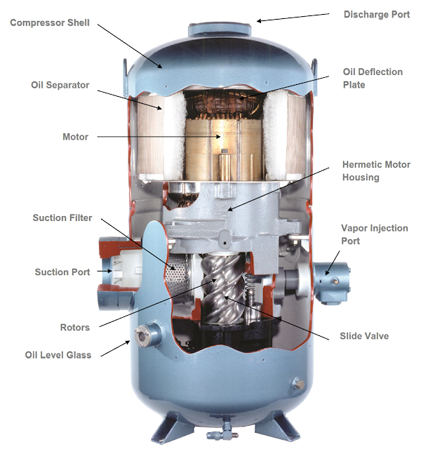 Capabilities & Services