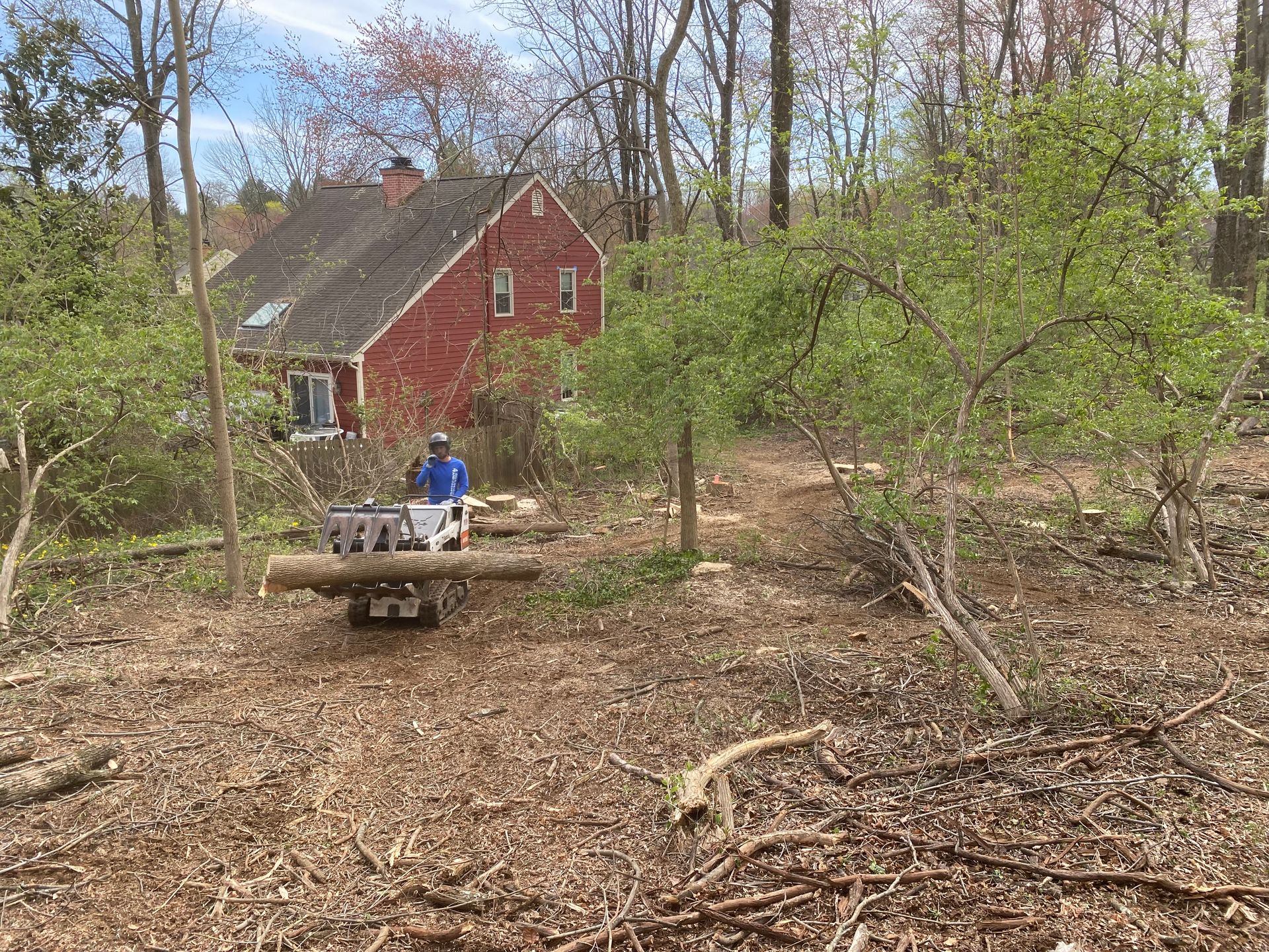 4 Seasons Arborscapes LLC: Professional Tree Care at Your Fingertips