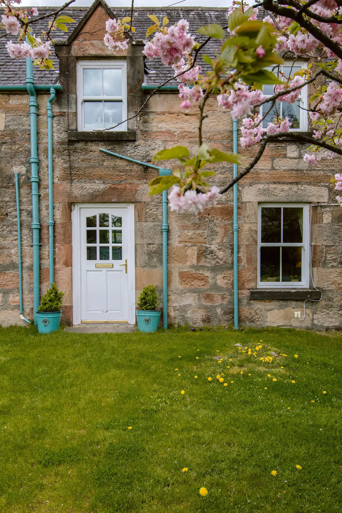 Dalmore Farm