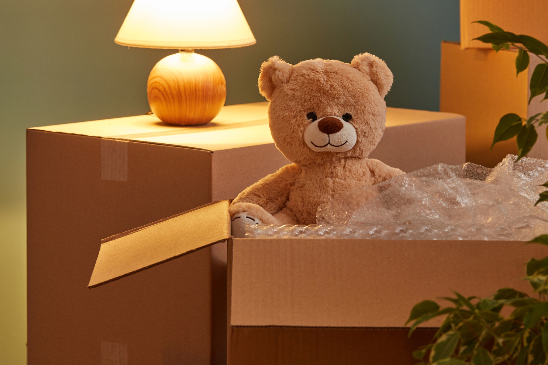 Storing and Packing Stuffed Animals: Tips for Long-Term Storage and Moving