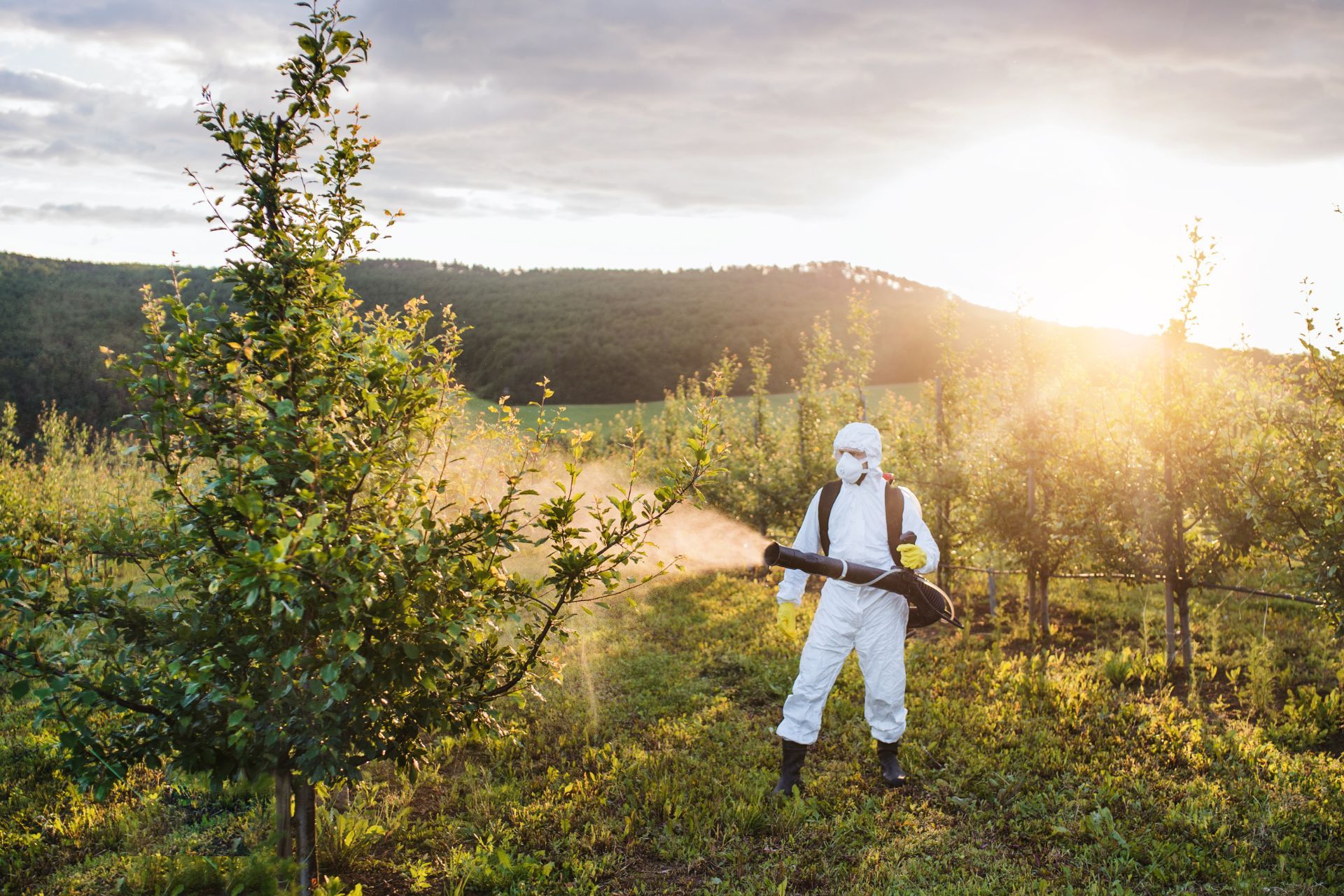 Colorado Pest Control and Pesticide Applicator Insurance