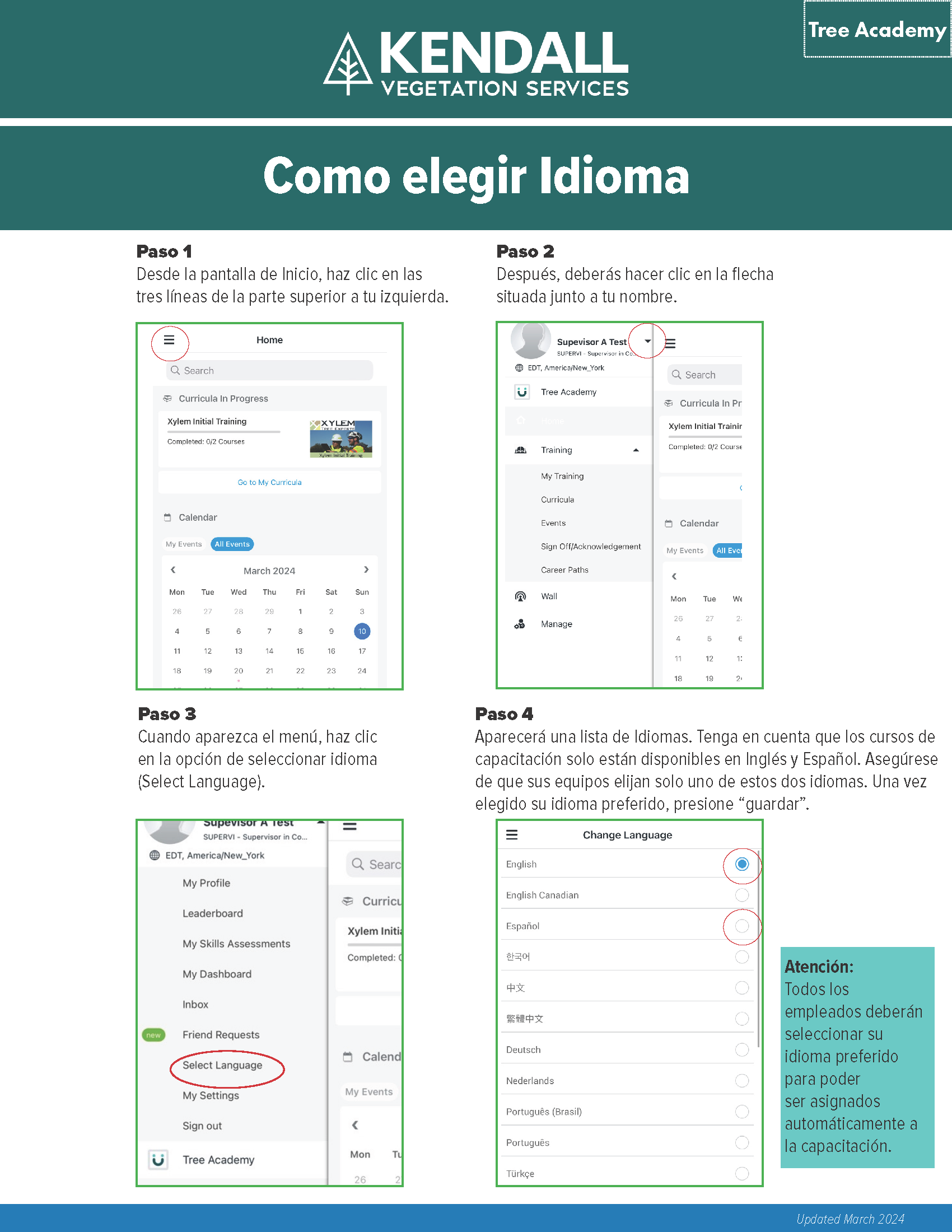 Professional Tree Service Company | Kendall Vegetation