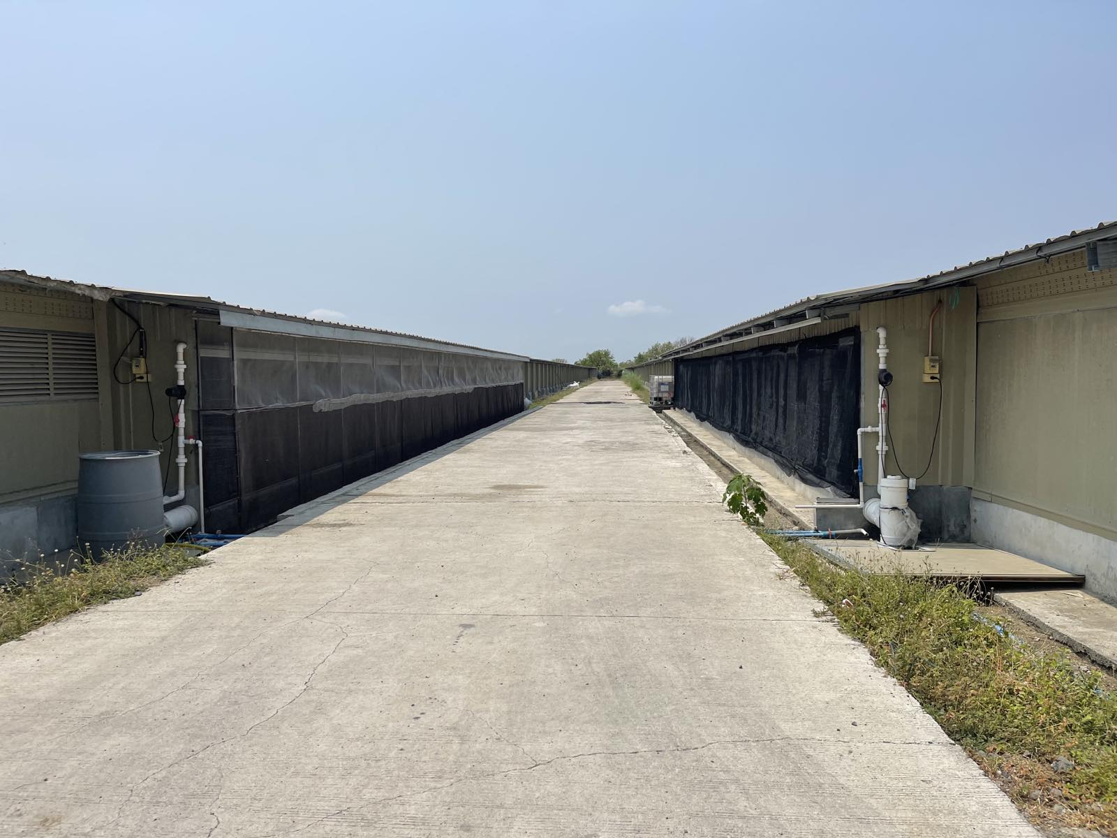Broiler Contract Growing
