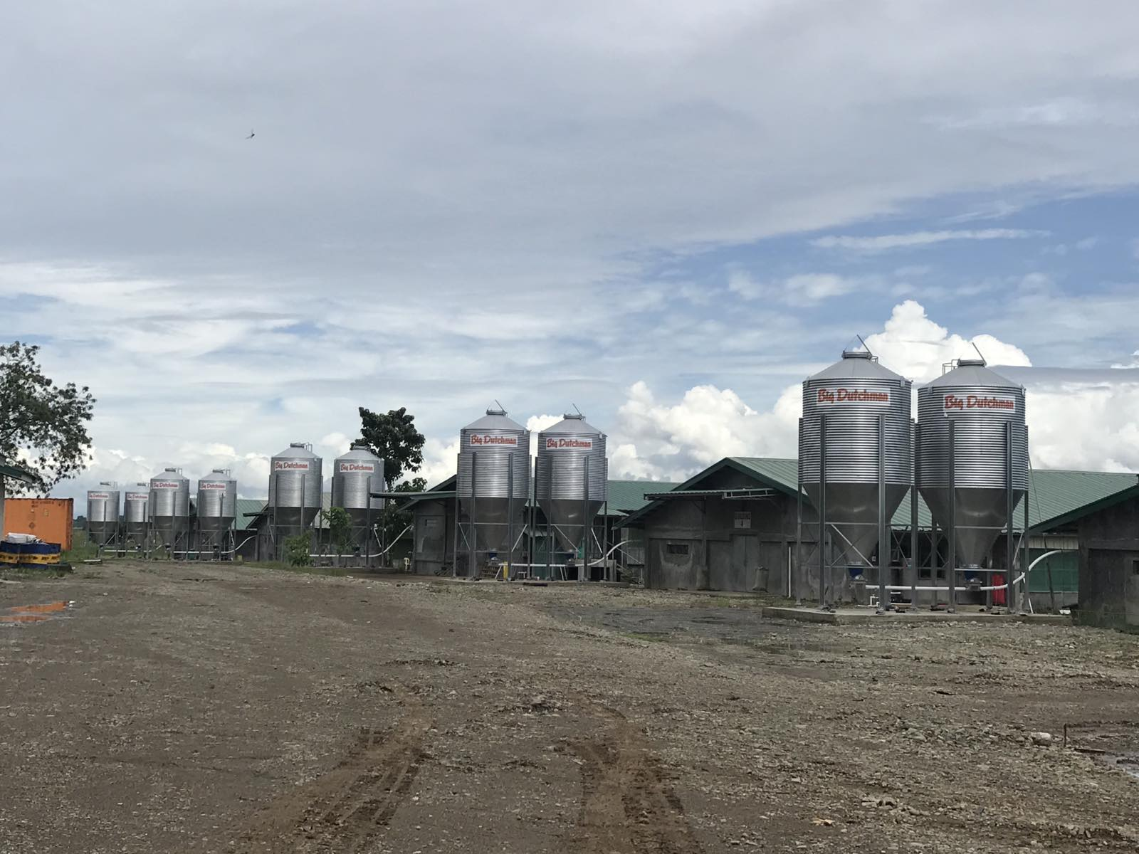 Broiler Contract Growing