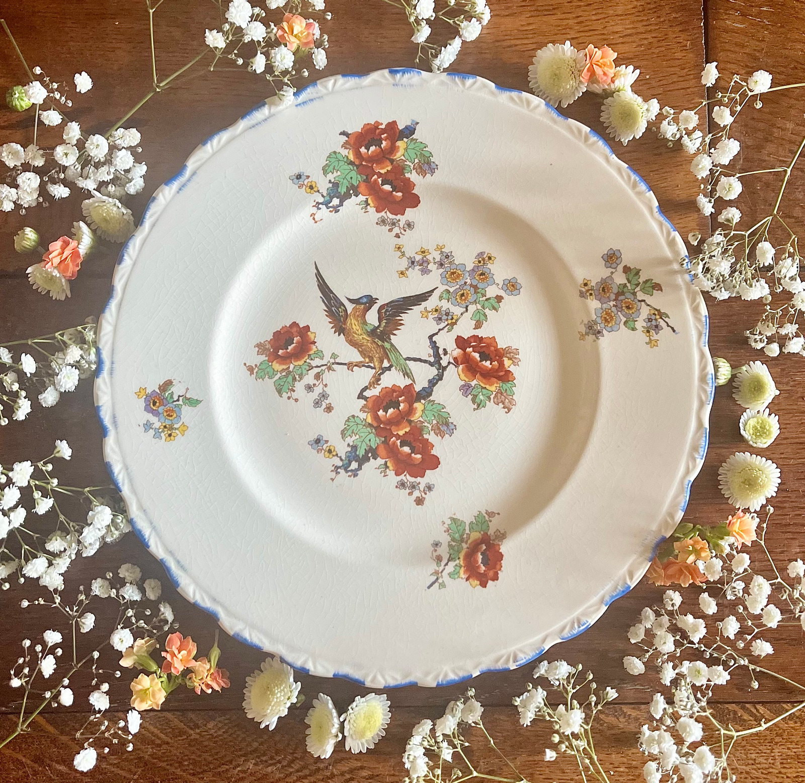 Daisy Cottage Décor For your Home and Garden Let's Shop