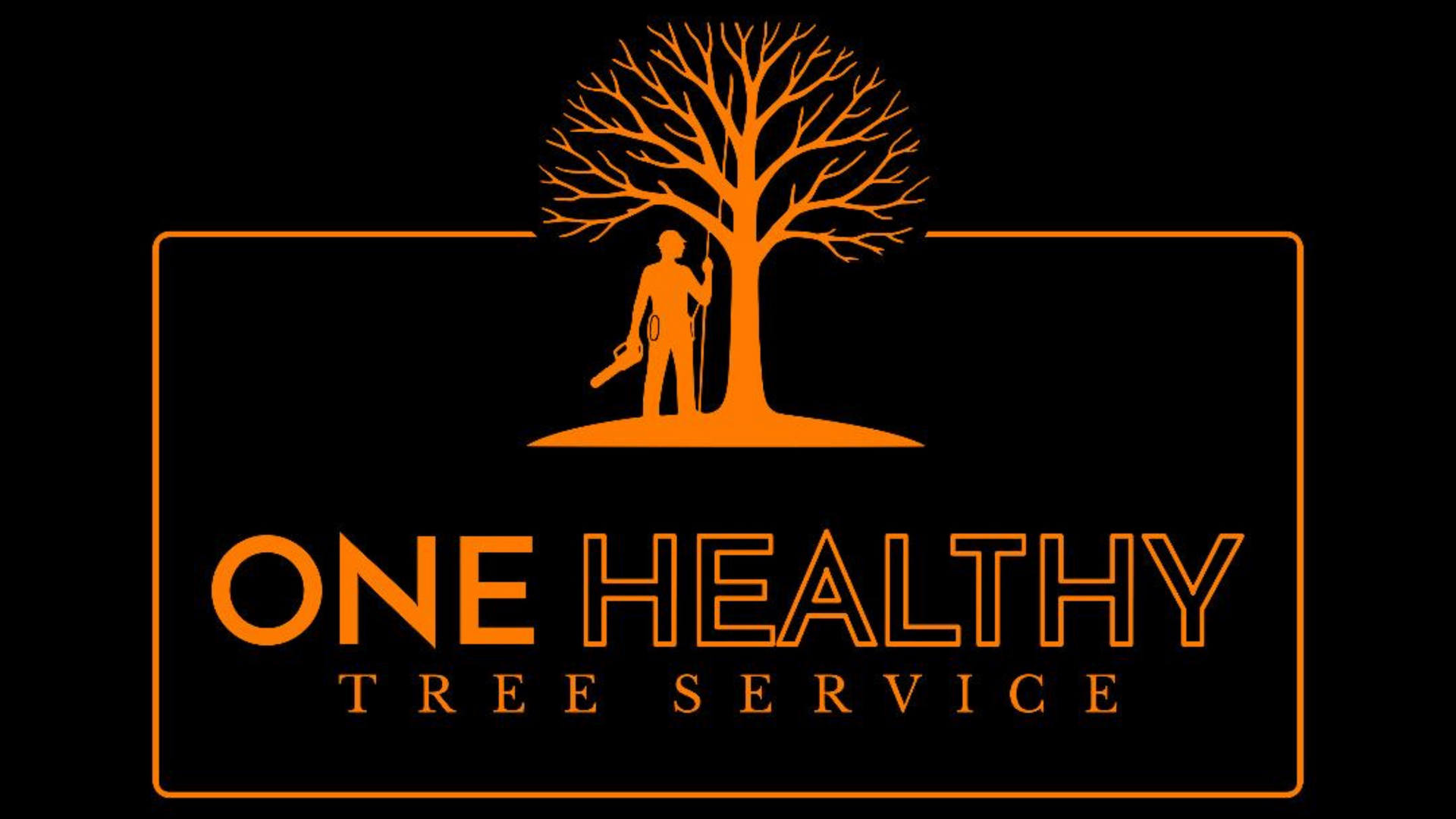 One Healthy Tree Service | Tree Care serving Moore County