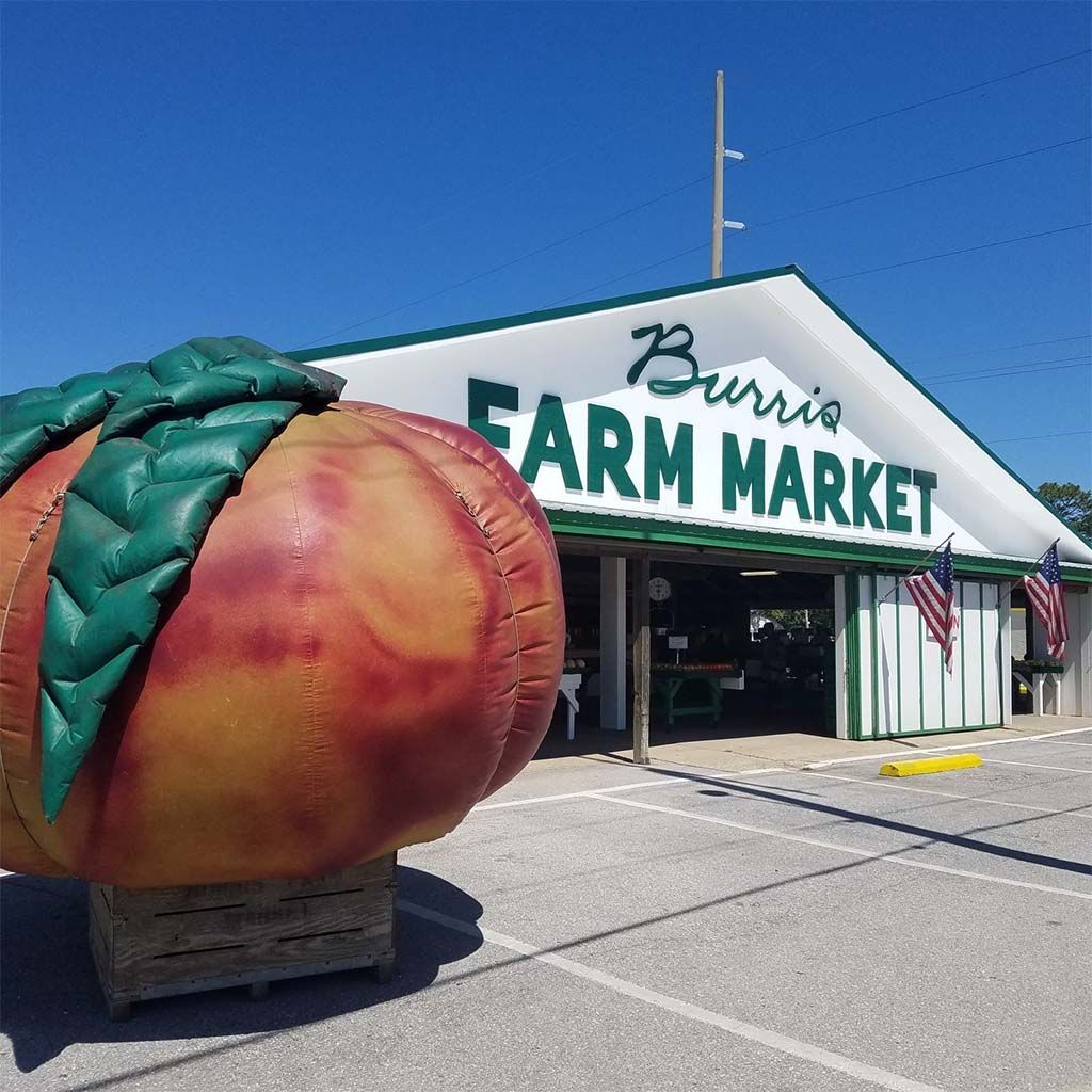 The Dream of a 'Burris Comeback' Is Officially Ending