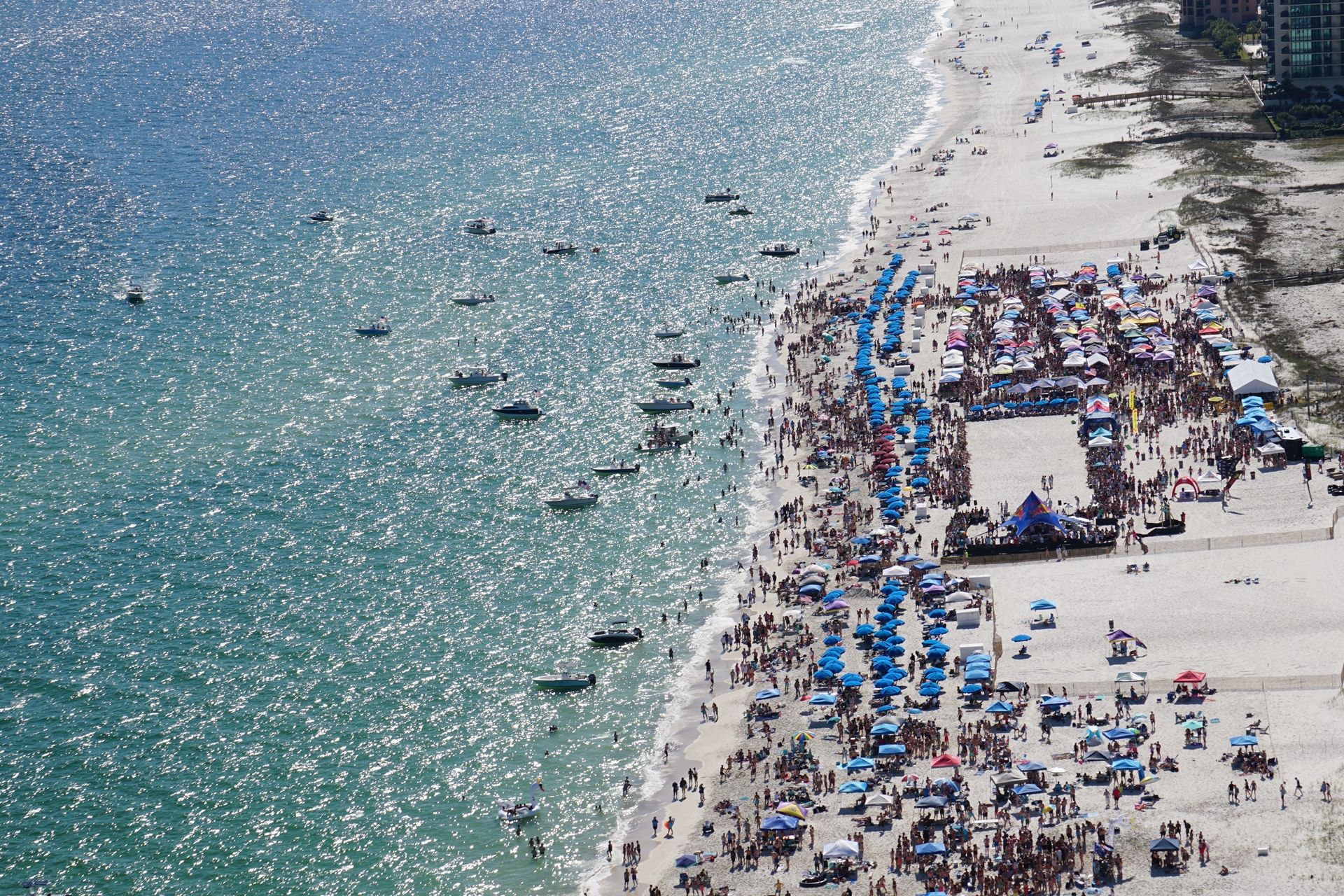 The 'Need to know' Items of Mullet Toss Weekend