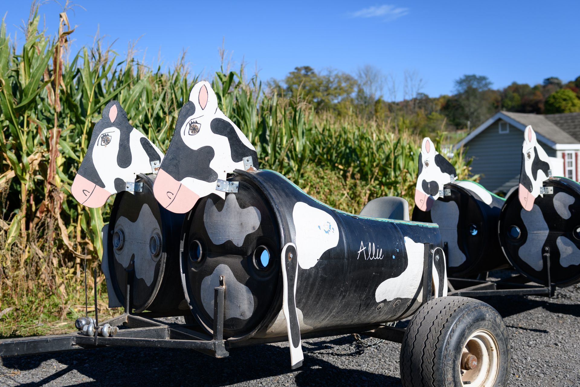 Corn Maze & Farm Fun | Mazezilla | Saylorsburg, PA