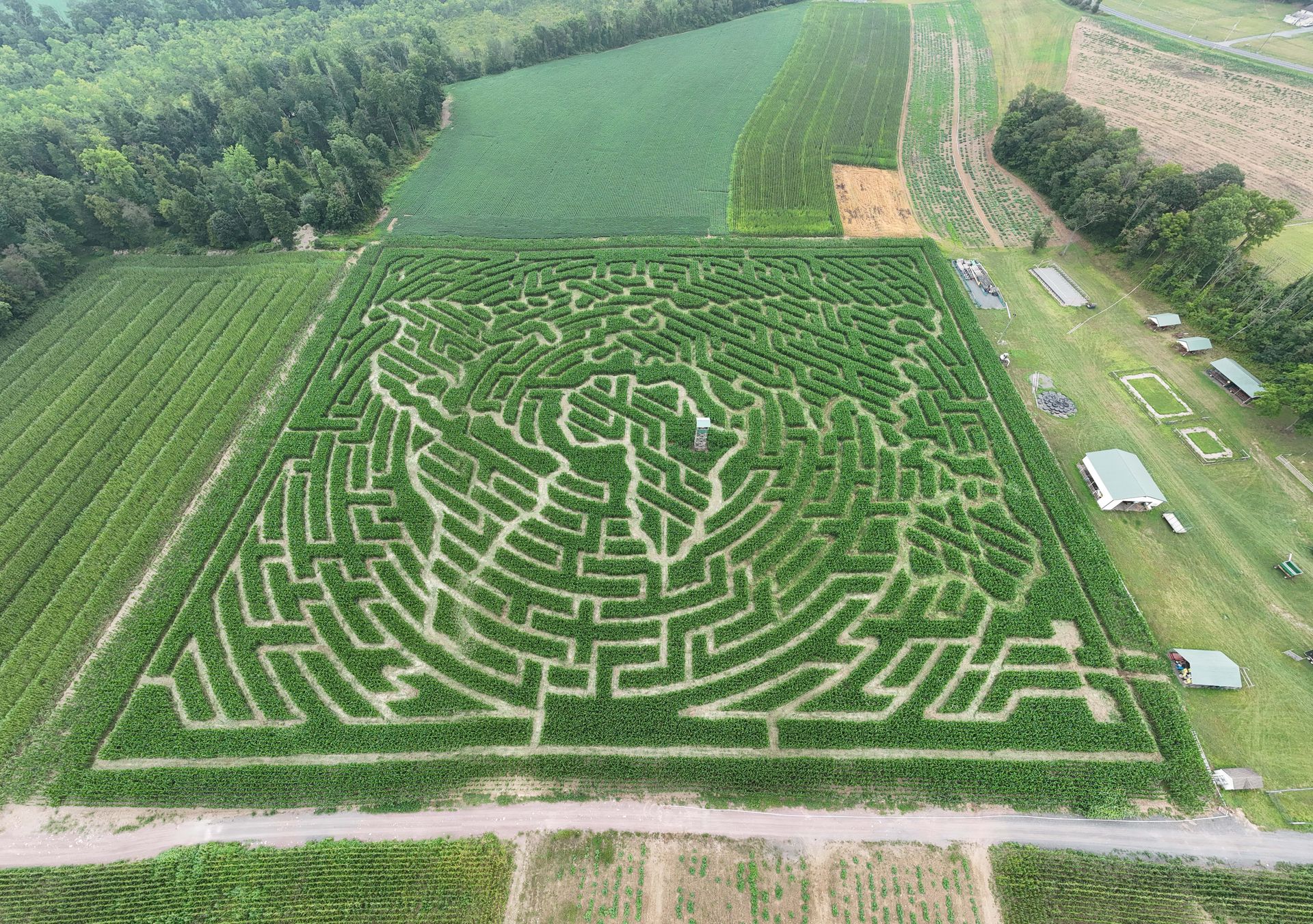 Corn Maze Schedule and Pricing