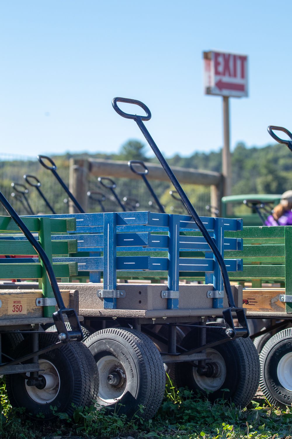 Corn Maze & Farm Fun | Mazezilla | Saylorsburg, PA