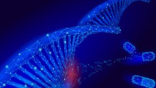 Customised Gene Expression Systems | Chromatin Bioscience