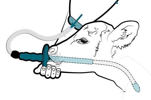 Mick Neal Pty Ltd | Farming Equipment Mid North Coast