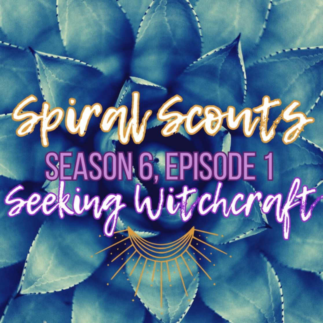Home of Spiral Scouts | Scout Program