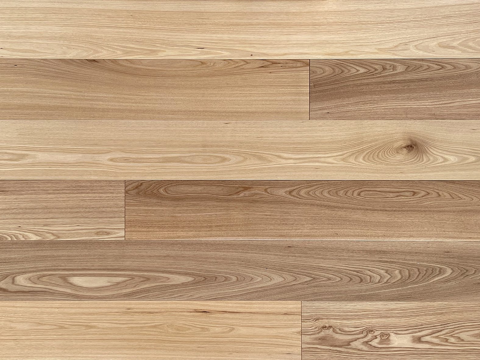 Olmo Europeo Naturale