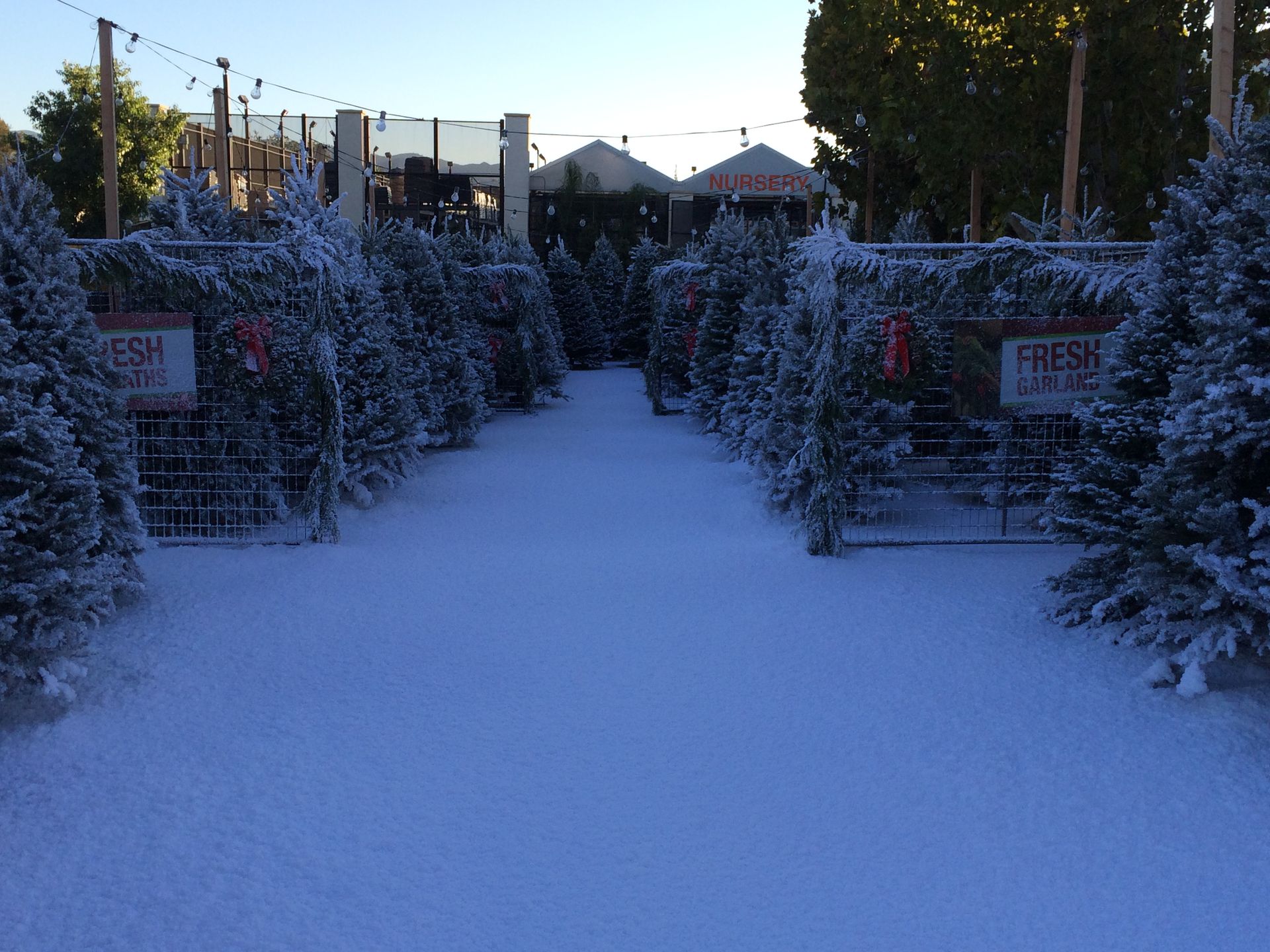 Snow Dressing | Canoga Park, CA | 818-884-3009
