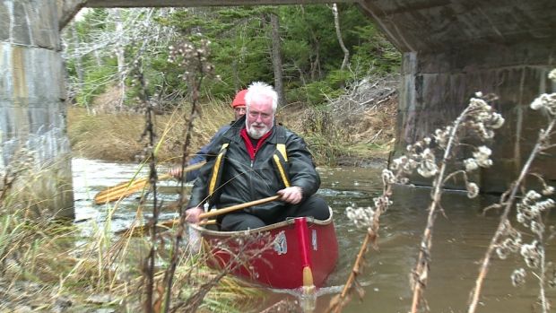 COUNCILLOR DAVID HENDSBEE | DISTRICT 2 | HRM NS