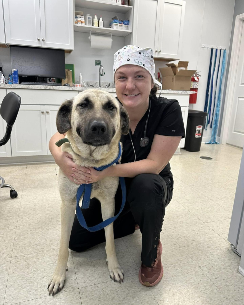 Veterinary Clinic | Advanced Animal Care | Richmond, KY