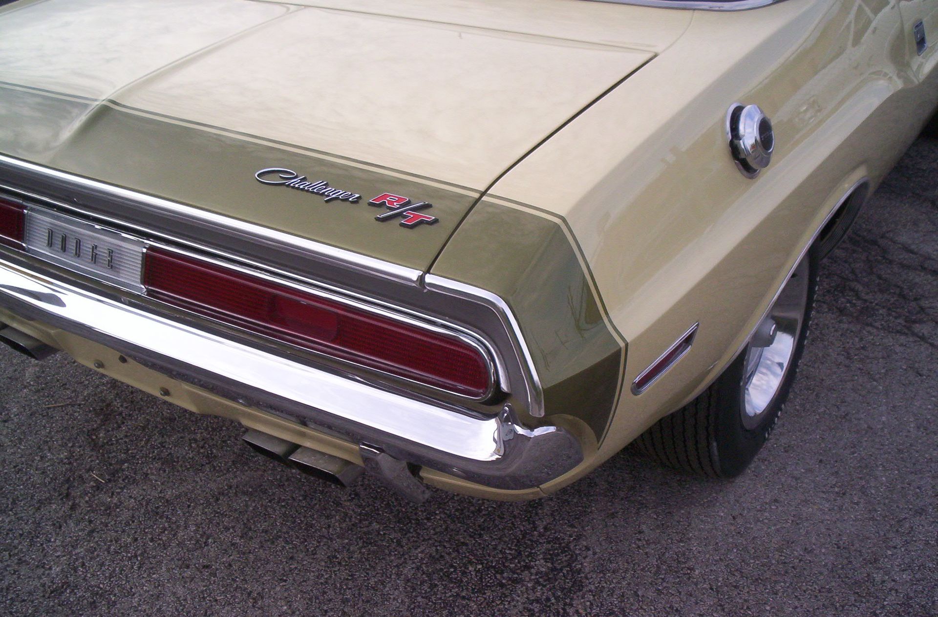 MuscleRod Shop Gallery