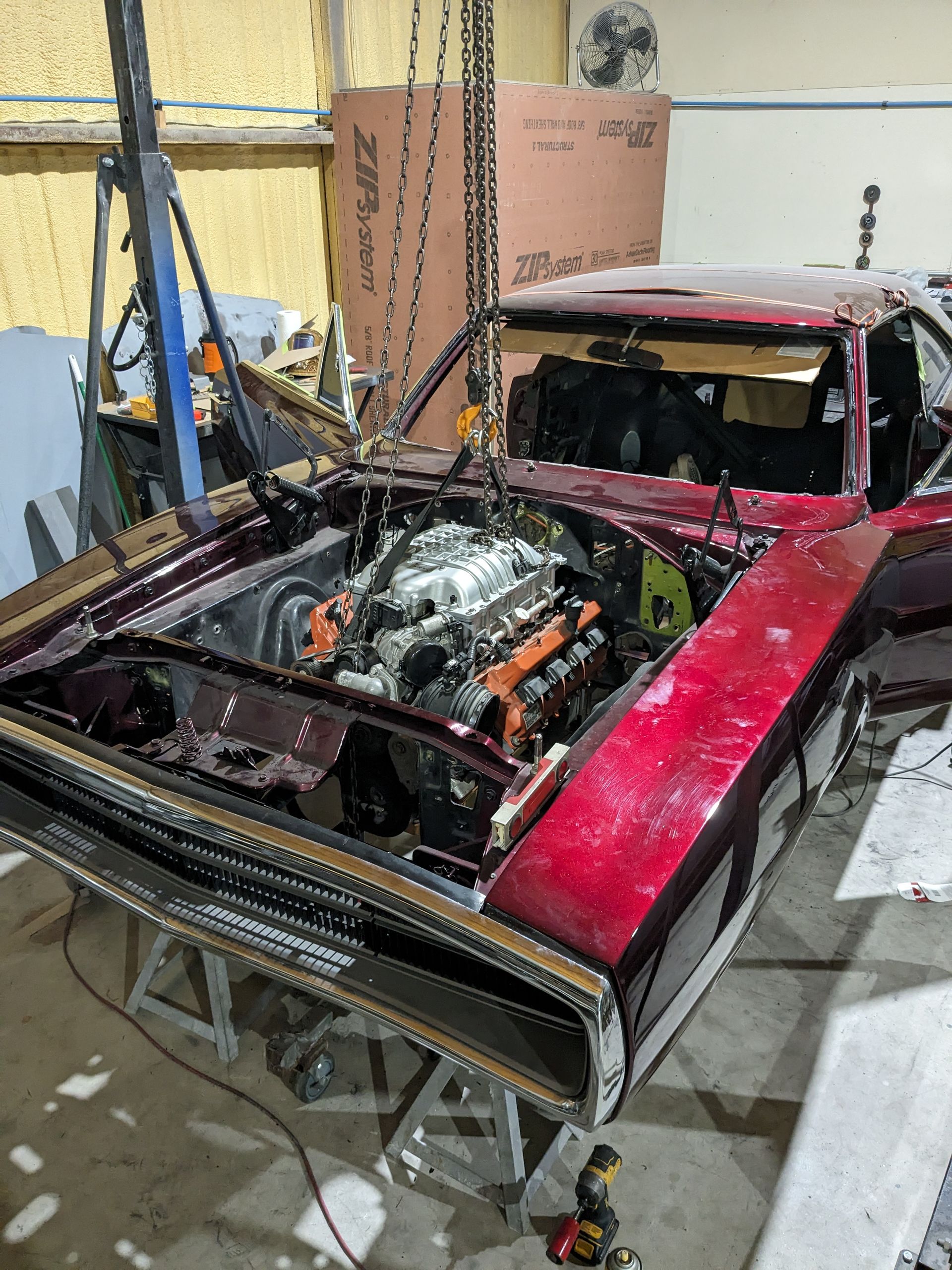 MuscleRod Shop Gallery