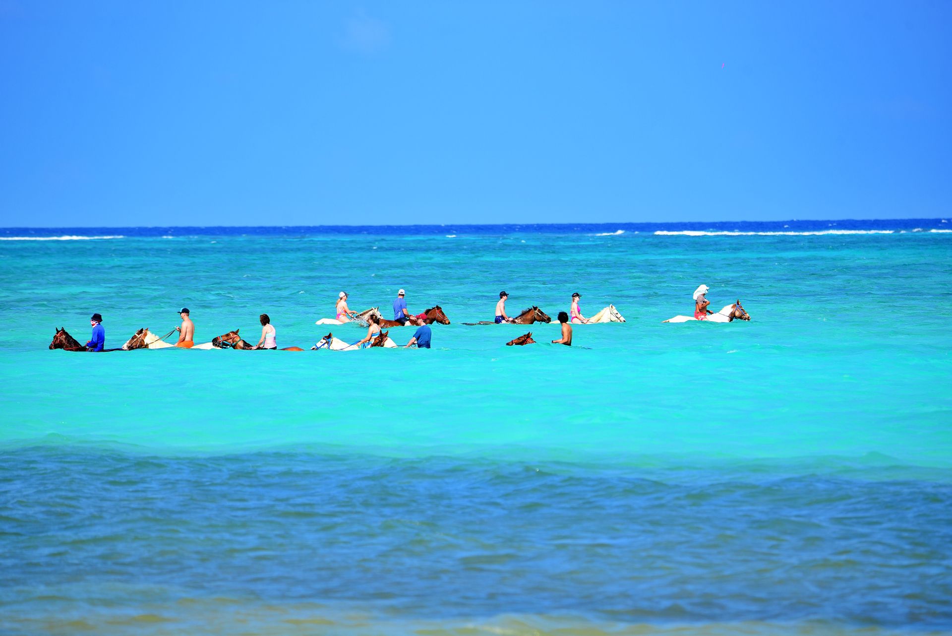 Vida Cayman Islands - Gallery - Grand Cayman's Luxury Boutique Hotel